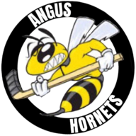 Angus Ball Hockey League